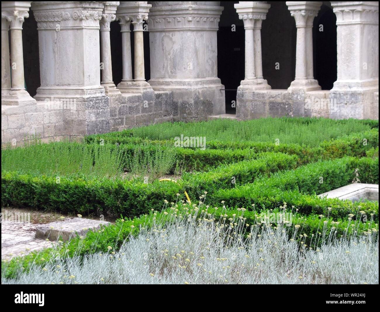 Green in the pillars grass hi-res stock photography and images - Alamy