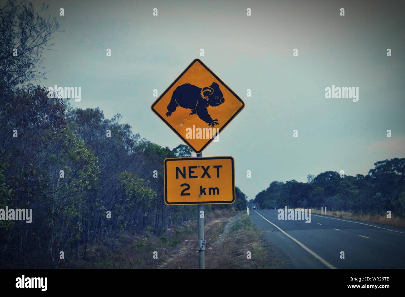 Koala Road Sign