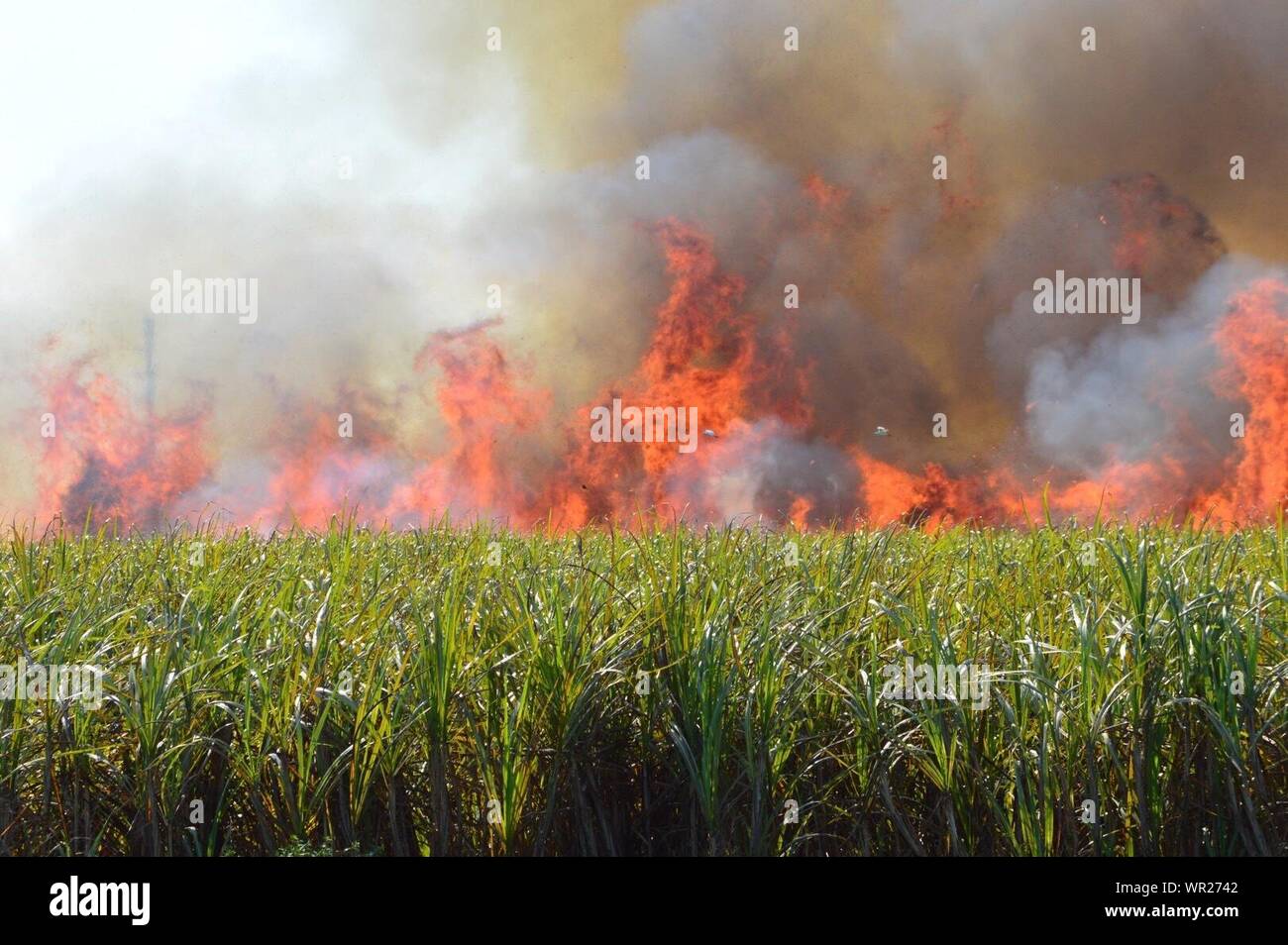 Field fire farm hi-res stock photography and images - Alamy
