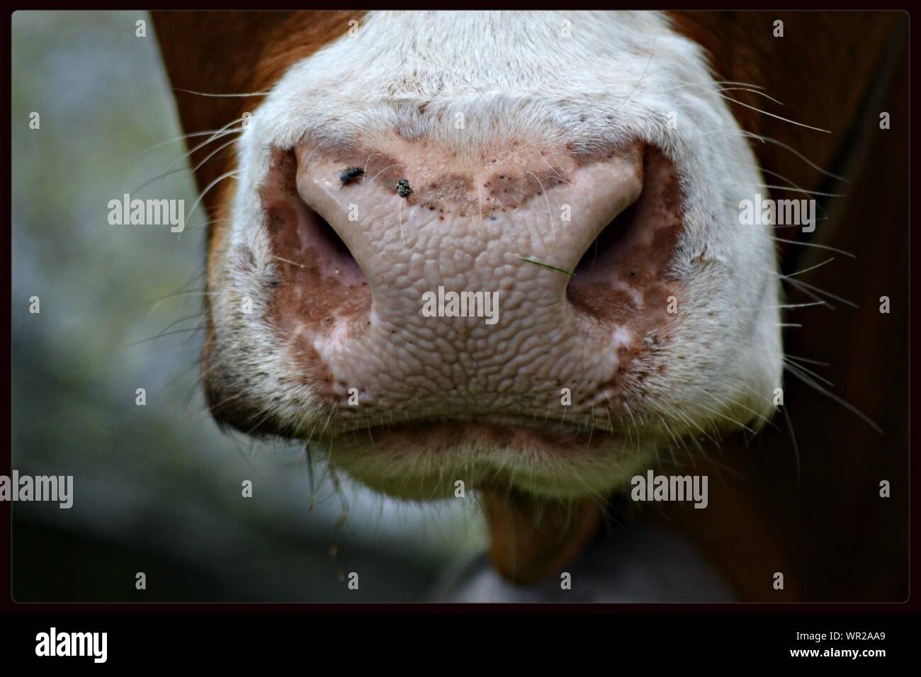 Perception filter hi-res stock photography and images - Alamy