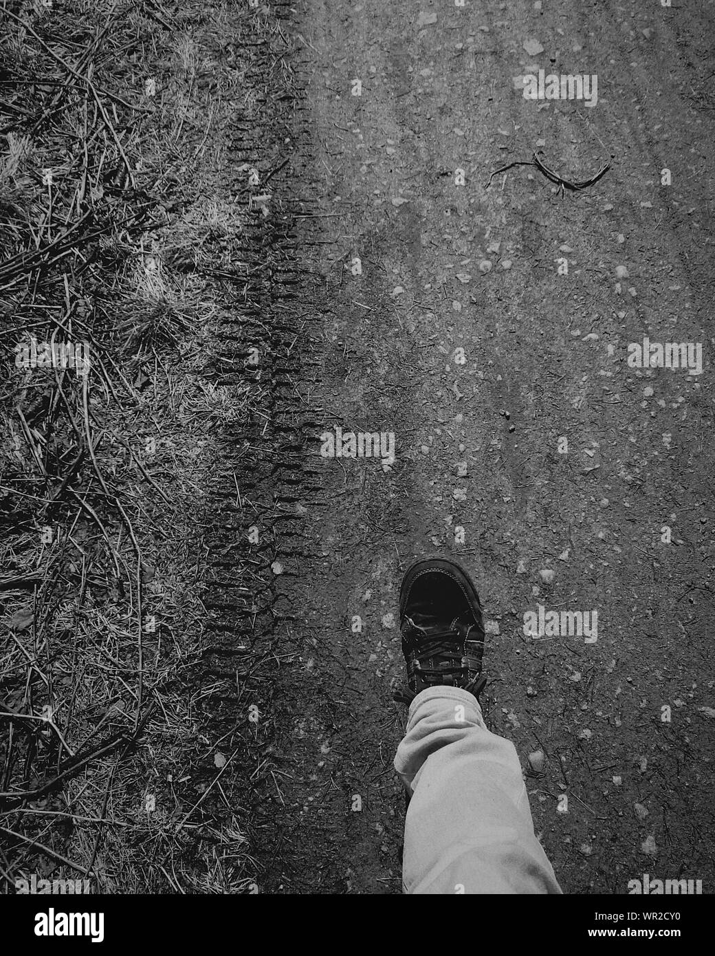 Low ground view Black and White Stock Photos & Images - Alamy