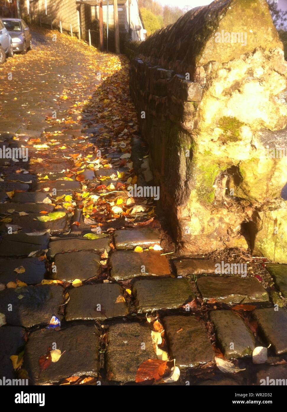 Cobblestone pathway hi-res stock photography and images - Alamy