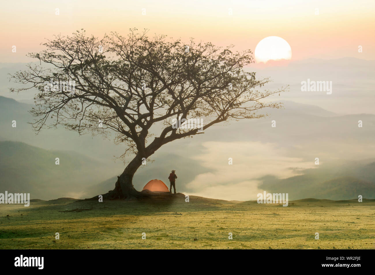 Man under tree in forest hi-res stock photography and images - Alamy