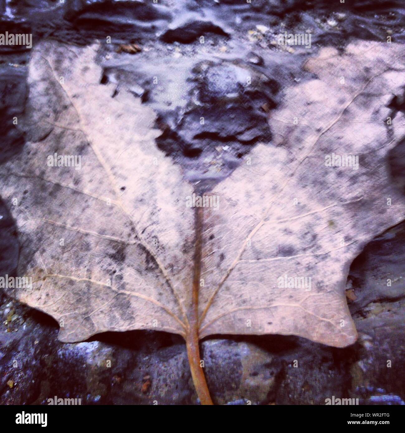 Tore hi-res stock photography and images - Alamy