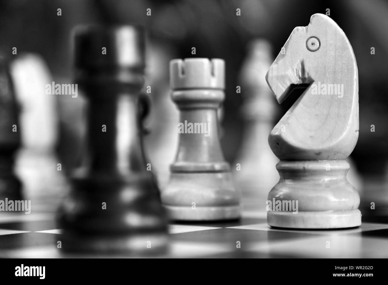 White Knight High Resolution Stock Photography and Images - Alamy