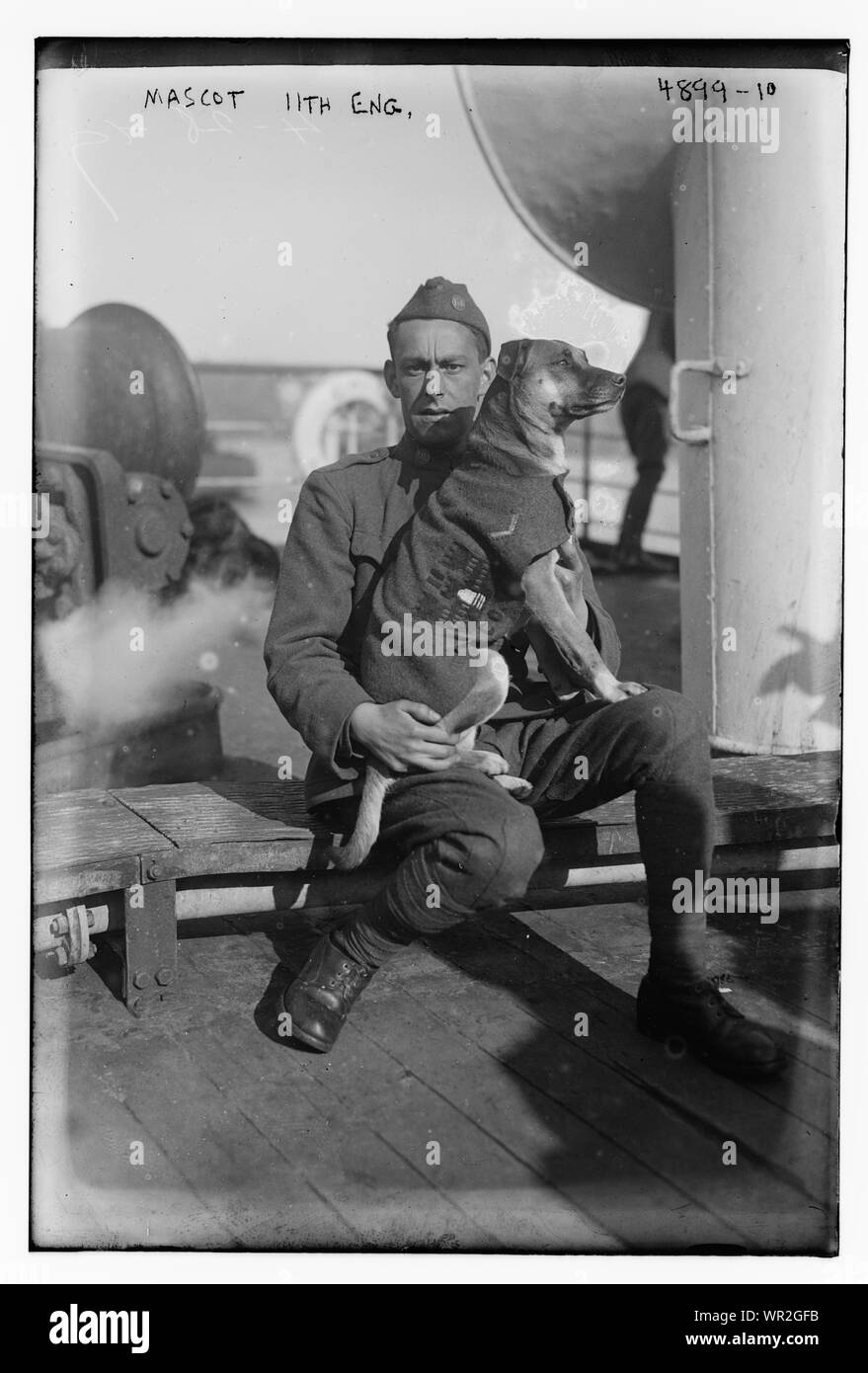 Engineer emblem Cut Out Stock Images & Pictures - Alamy