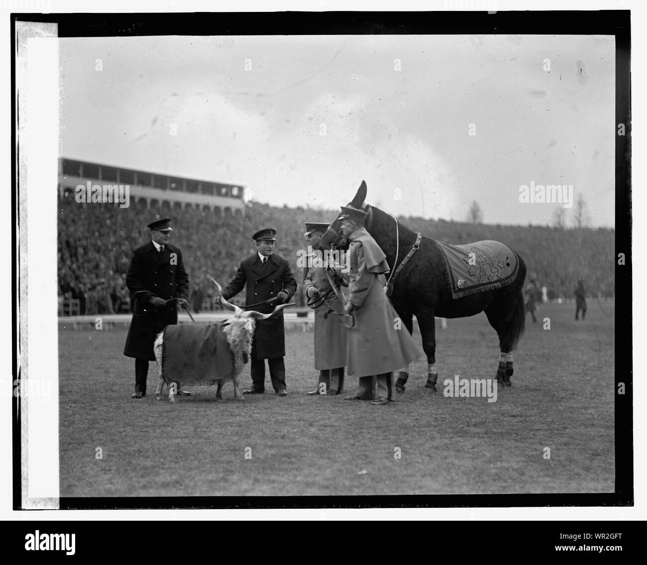 Military mascots Black and White Stock Photos & Images - Alamy
