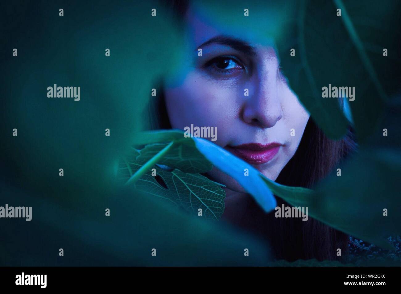Woman young leaves hi-res stock photography and images - Alamy