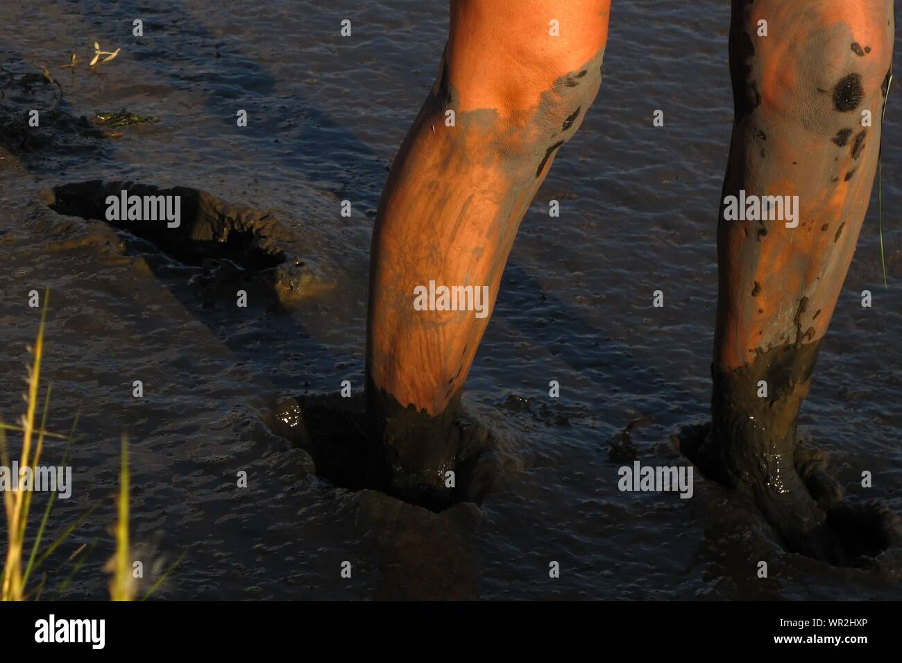 Walking mud hi-res stock photography and images - Alamy