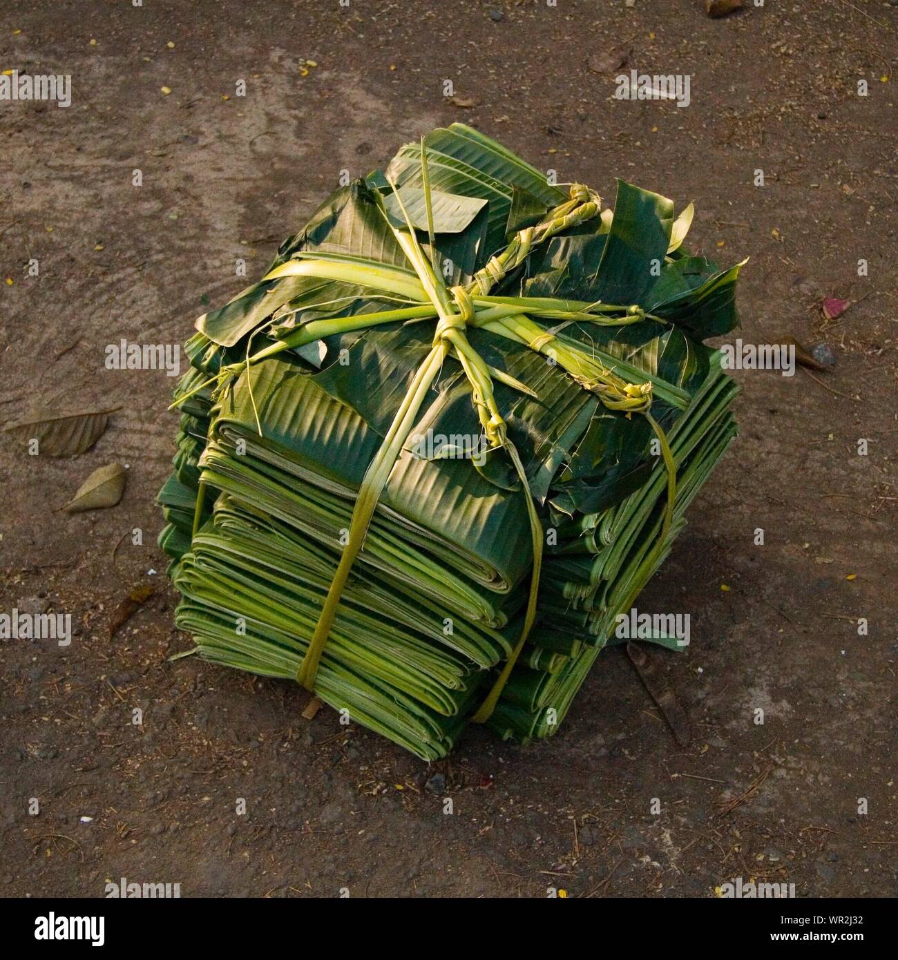 Folded leaf hi-res stock photography and images - Alamy