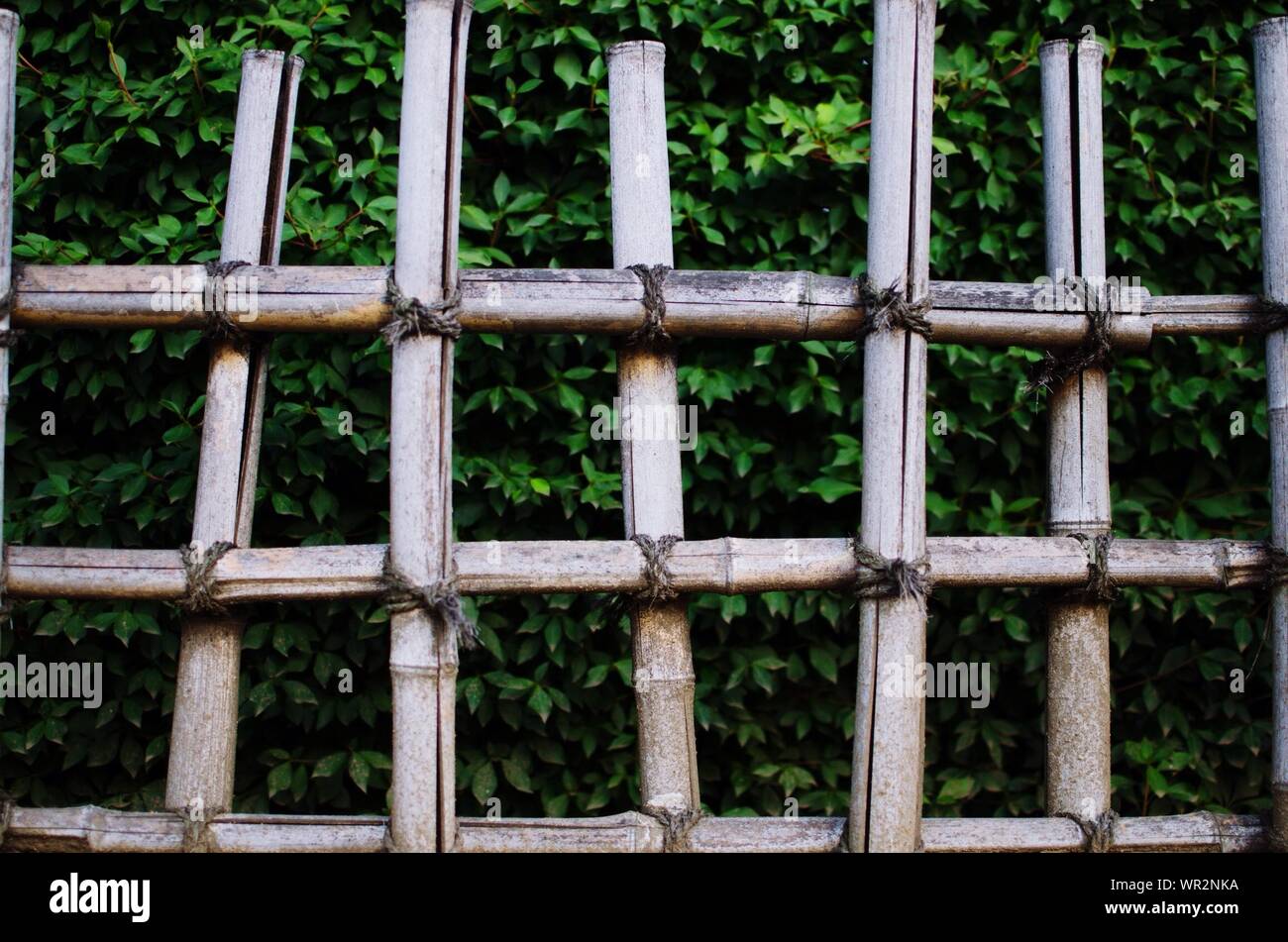 Bamboo wood structure hi-res stock photography and images - Alamy