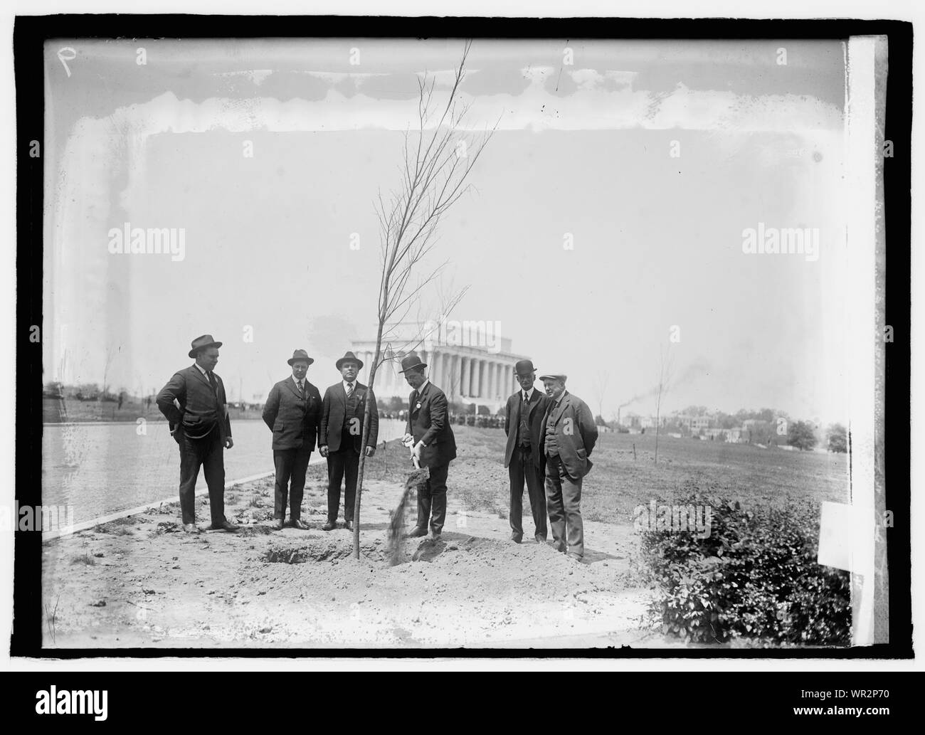 Massachusettes Society tree planting, [5/4/23] Stock Photo - Alamy