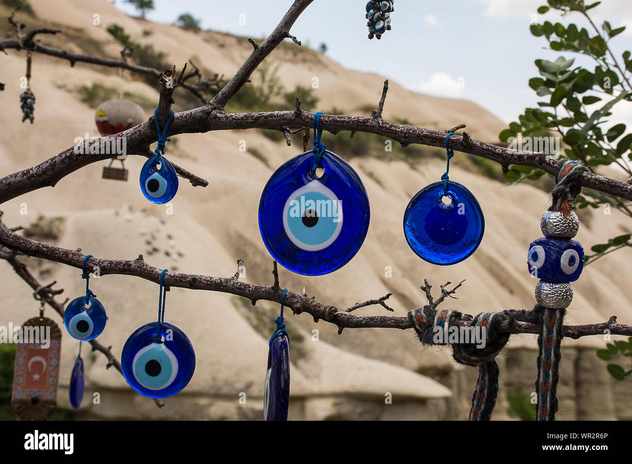 An Evil Tree High Resolution Stock Photography and Images - Alamy