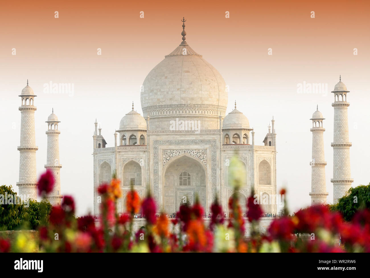 Taj mahal in nature hi-res stock photography and images - Alamy