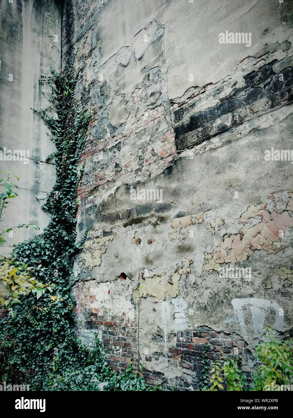 Abandoned building wall hi-res stock photography and images - Alamy