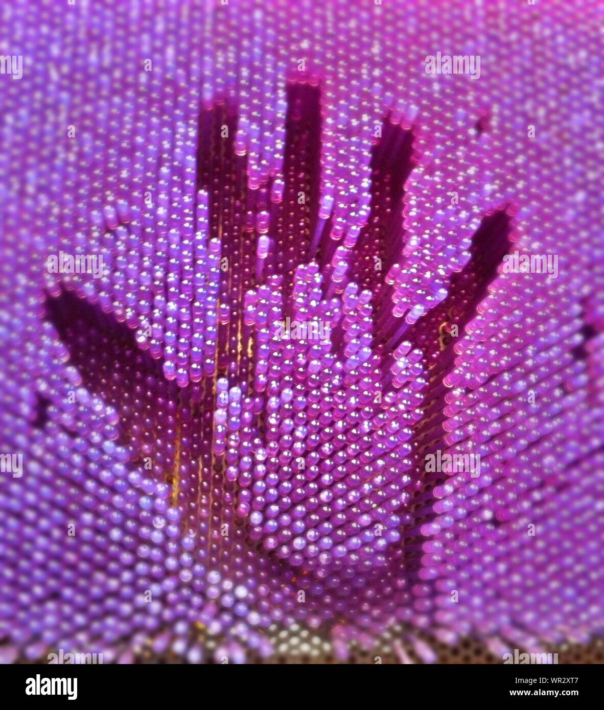 Handprint Craft High Resolution Stock Photography and Images - Alamy