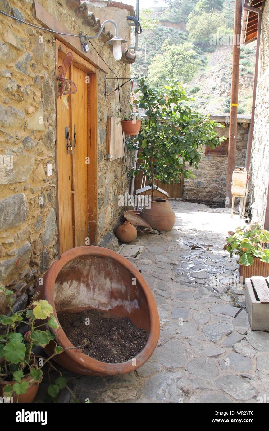 Plants in alley hi-res stock photography and images - Alamy