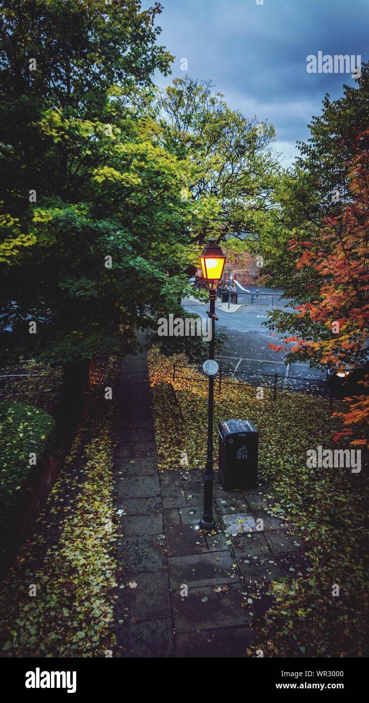 Pathway to light hi-res stock photography and images - Alamy