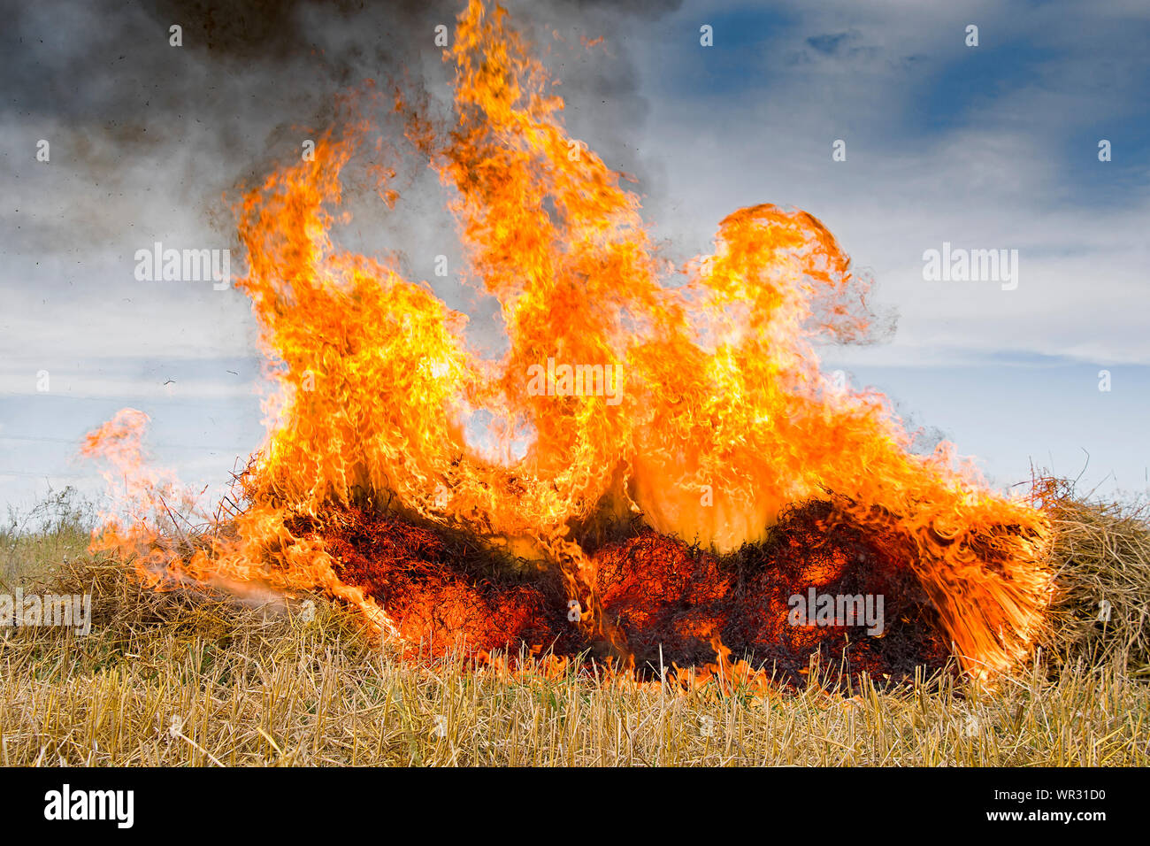 Burning straw stubble farmers when the harvest is complete Stock Photo ...