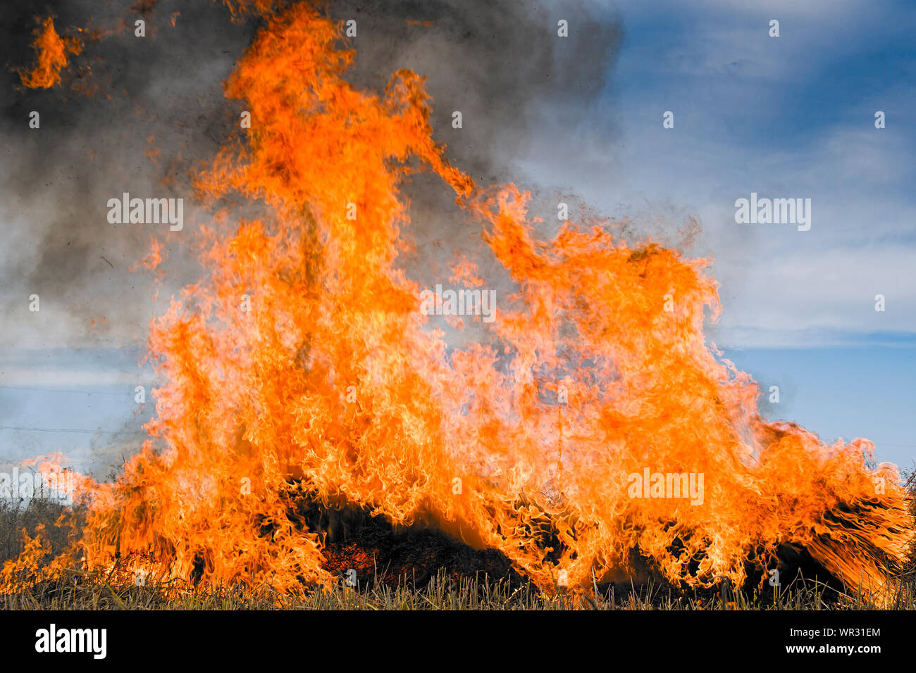 Burning straw stubble farmers when the harvest is complete Stock Photo ...