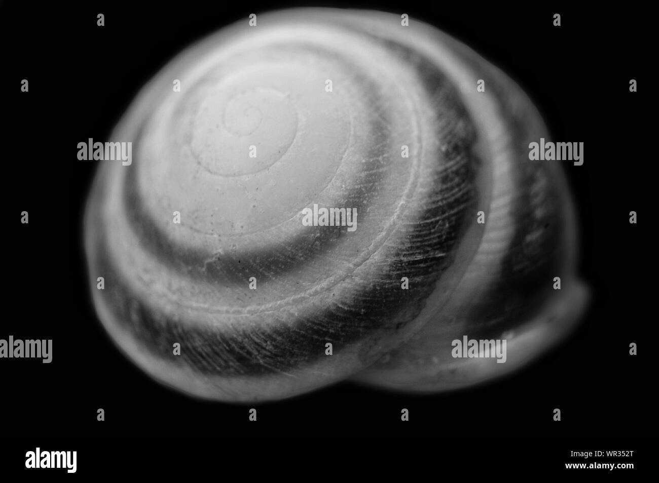 Sail back hi-res stock photography and images - Alamy