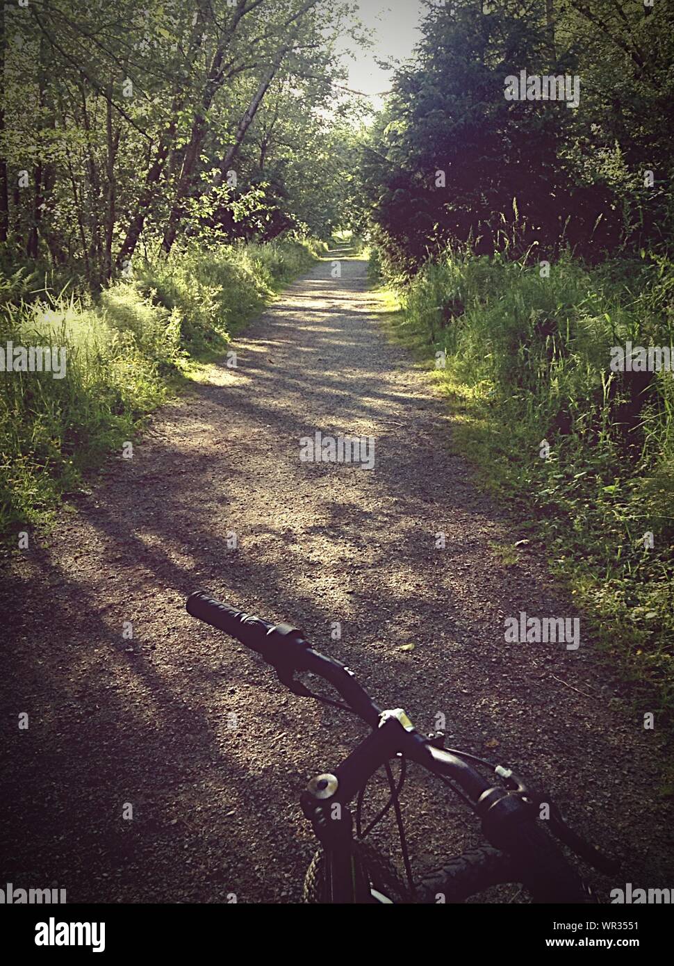 Straight view hi-res stock photography and images - Alamy