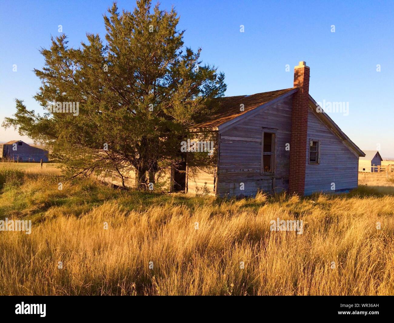 Barn wood grass hi-res stock photography and images - Alamy