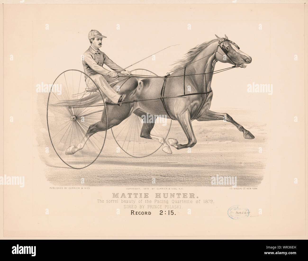 Mattie Hunter: the sorrel beauty of the pacing quartette of 1879 Stock ...