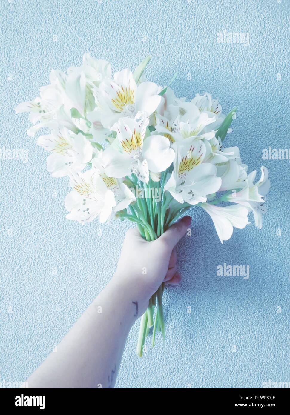 Hand of flowers hi-res stock photography and images - Alamy