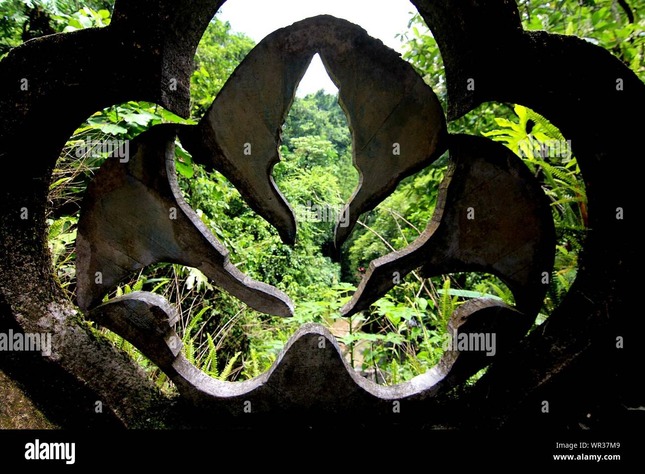 View through window forest hi-res stock photography and images - Alamy