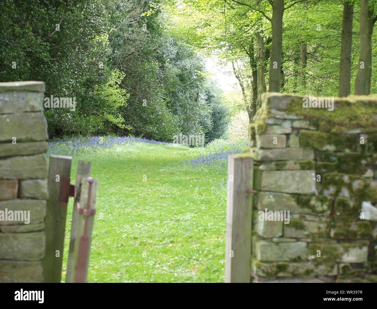 Old Field Walls High Resolution Stock Photography and Images - Alamy