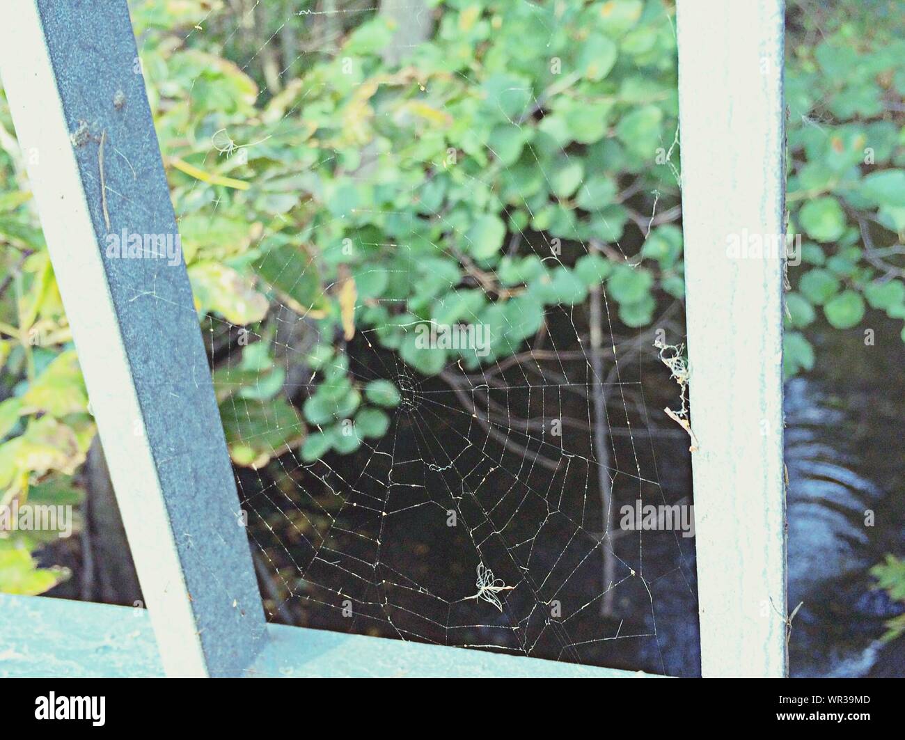 Spider On Railing High Resolution Stock Photography and Images - Alamy
