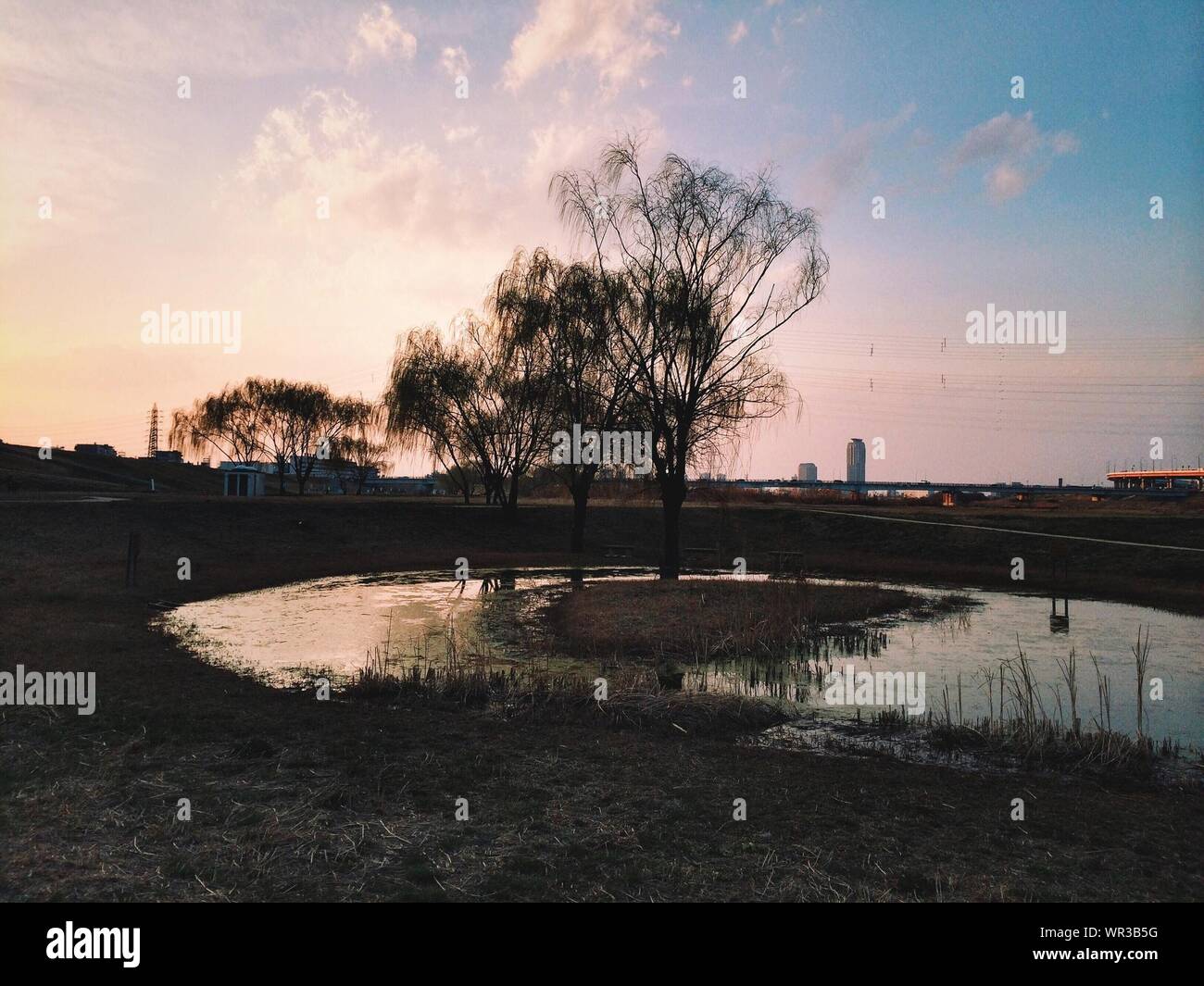 Water Puddle Field Sky Sunset Cloud Sky High Resolution Stock ...