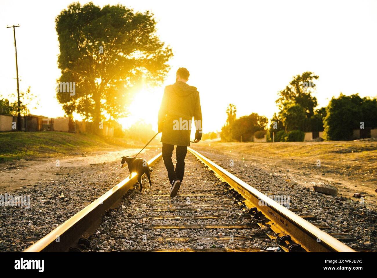 Man and dog back view hi-res stock photography and images - Alamy