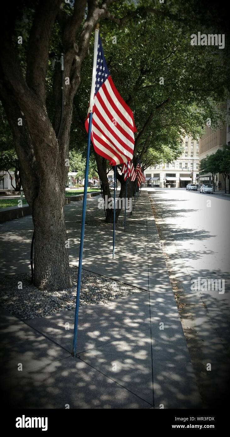 American flag tree hi-res stock photography and images - Alamy