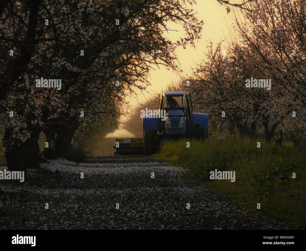 Tree shaker hi-res stock photography and images - Alamy
