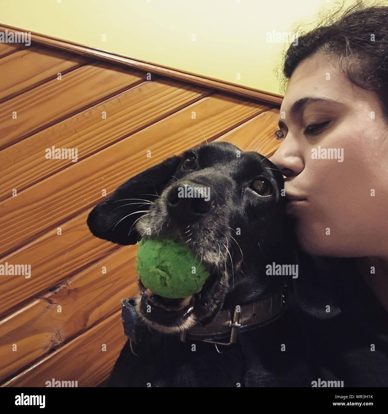 Dog Kissing Owner High Resolution Stock Photography and Images - Alamy