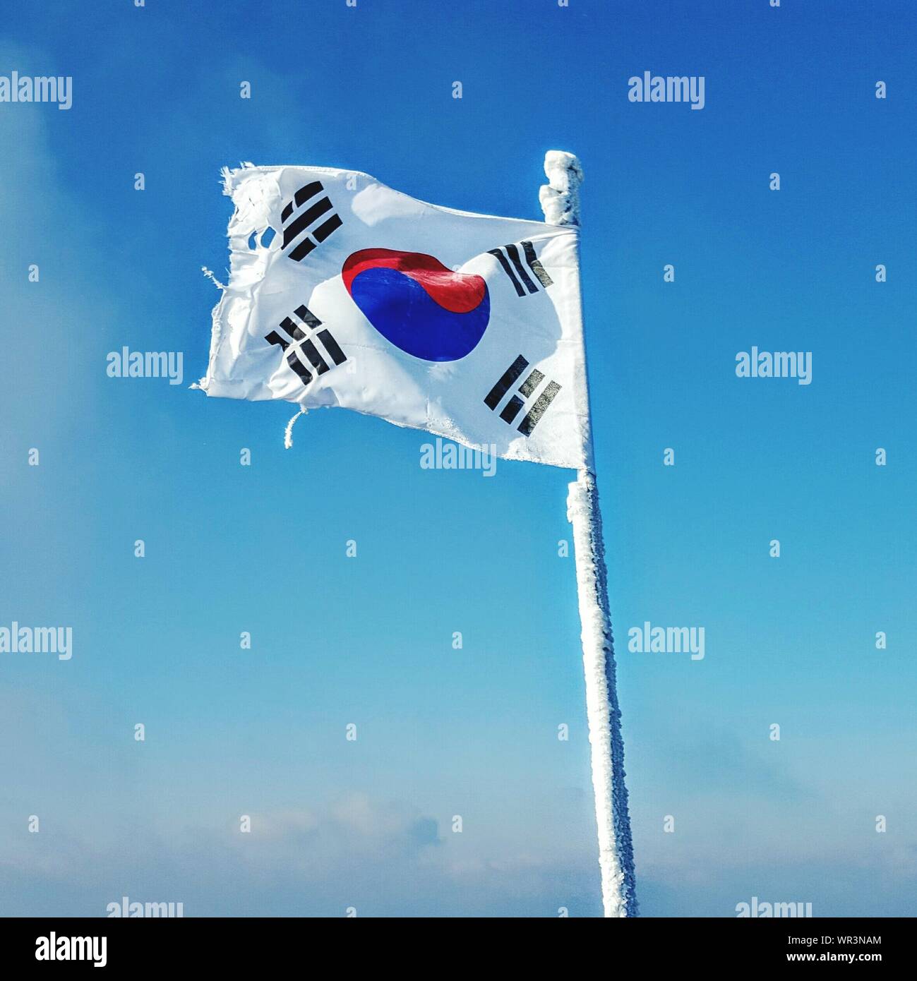 Waving korean flag hi-res stock photography and images - Alamy
