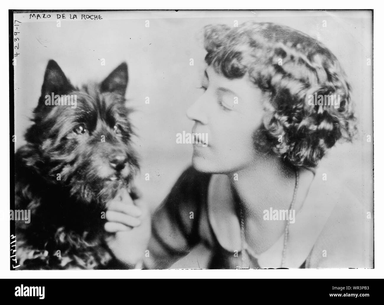 Mazo Cut Out Stock Images & Pictures - Alamy