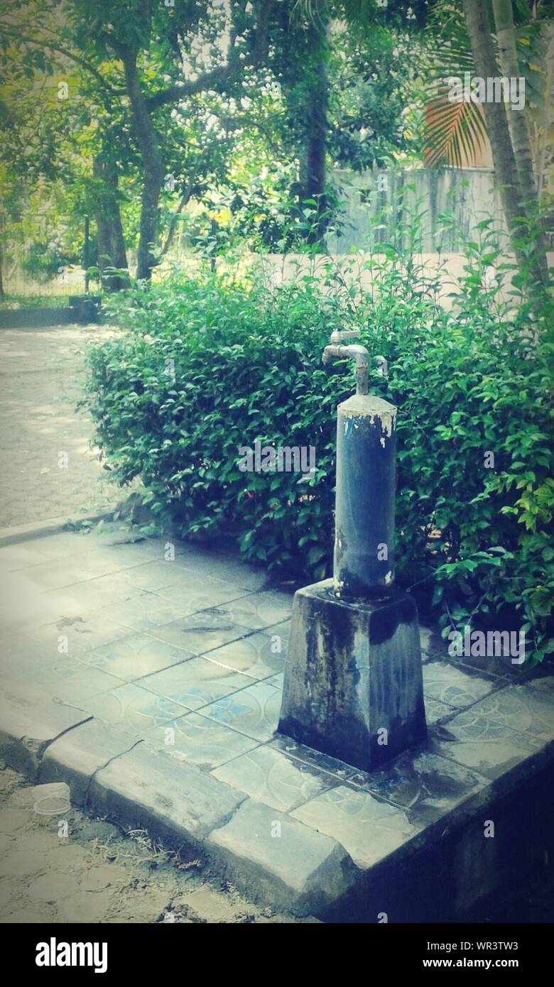 Tap Water Park High Resolution Stock Photography and Images - Alamy
