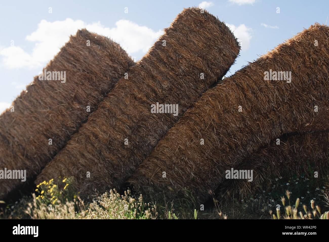 Stacks Of Hay Bales High Resolution Stock Photography and Images - Alamy