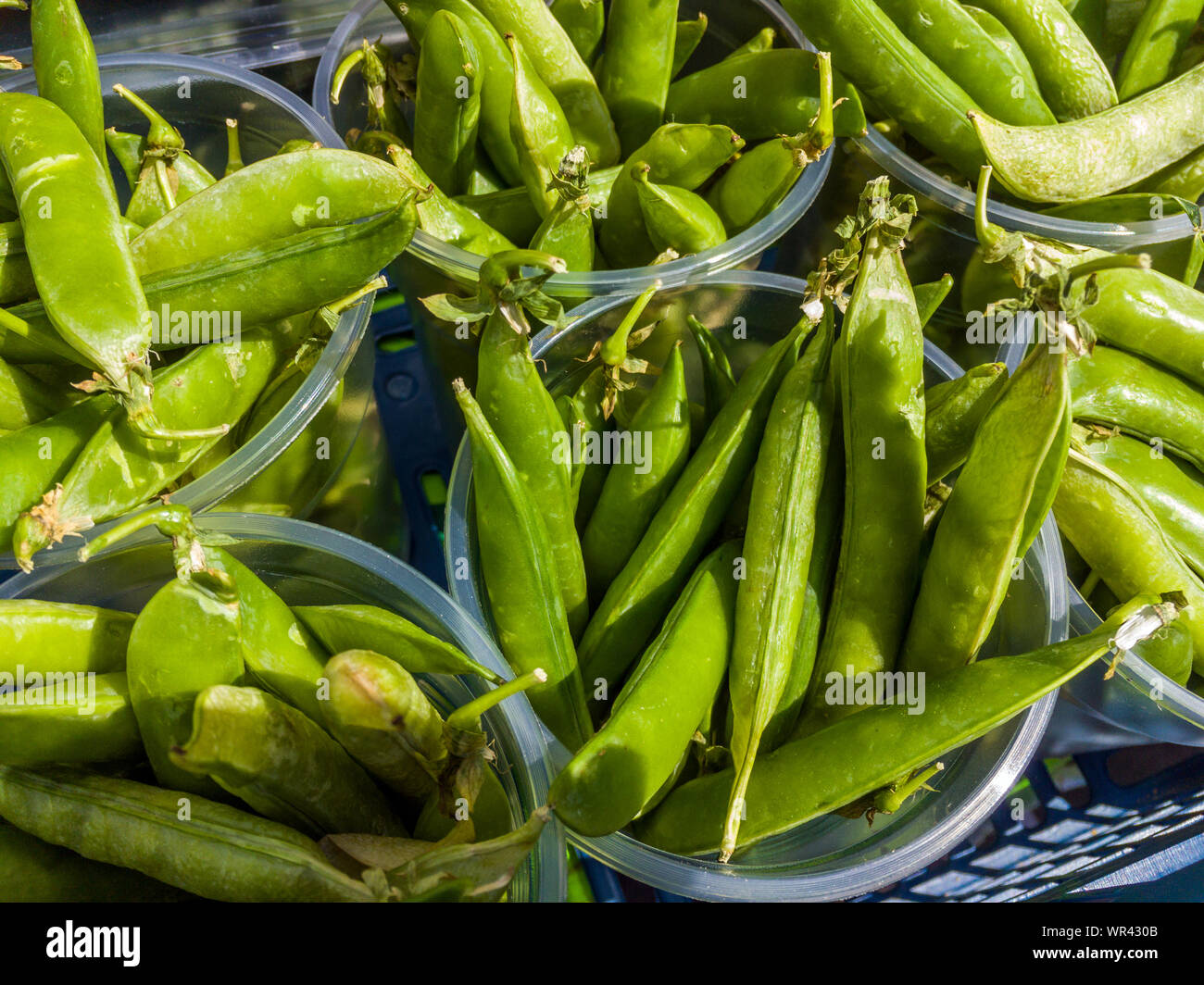 Pods of young peas in plastic glasses on a tray Stock Photo - Alamy