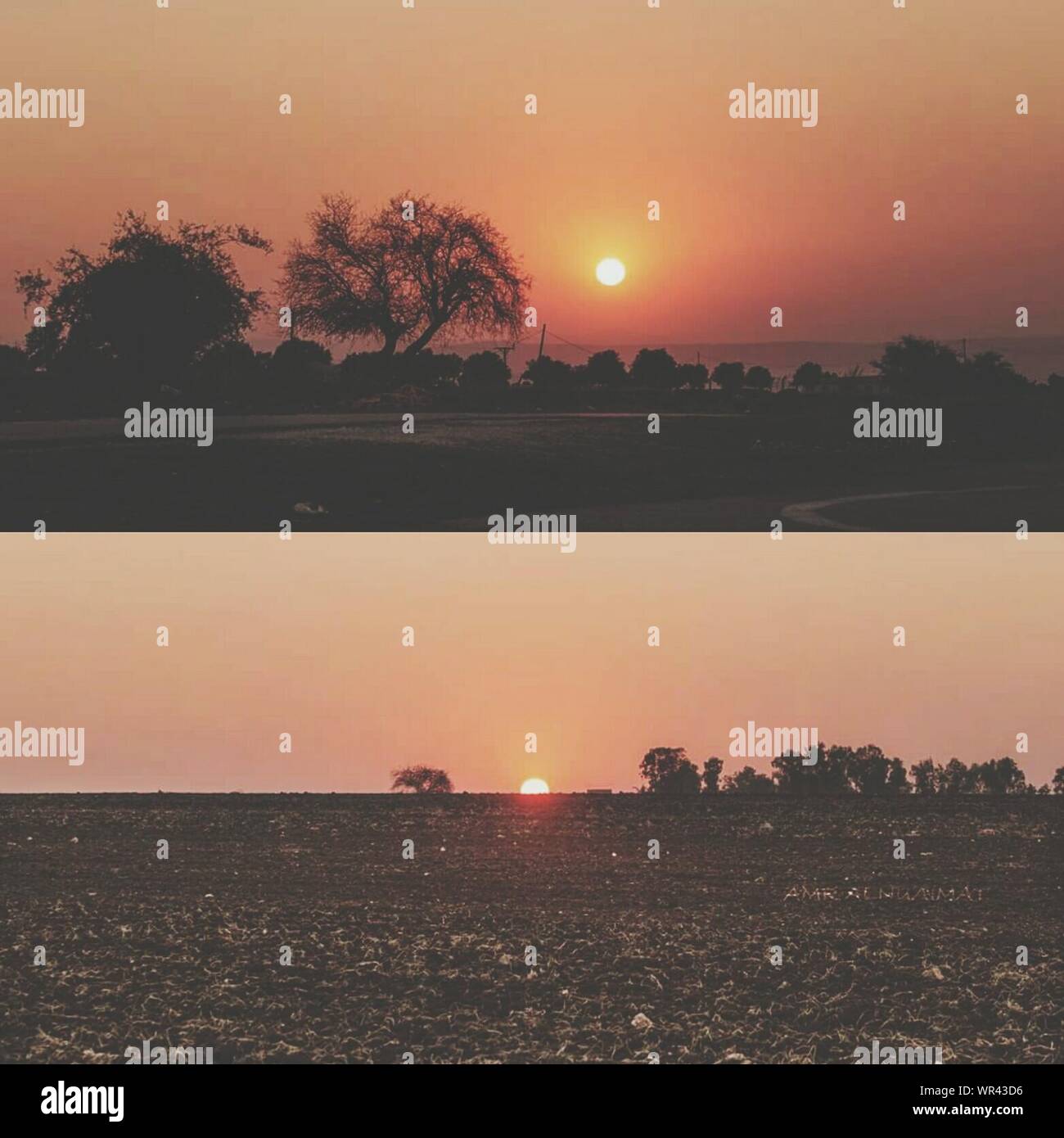 Collage with sun hi-res stock photography and images - Alamy