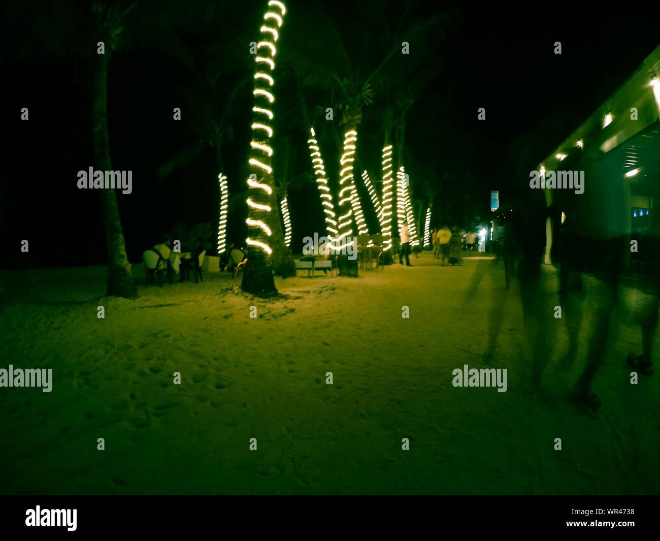 String tree hi-res stock photography and images - Alamy