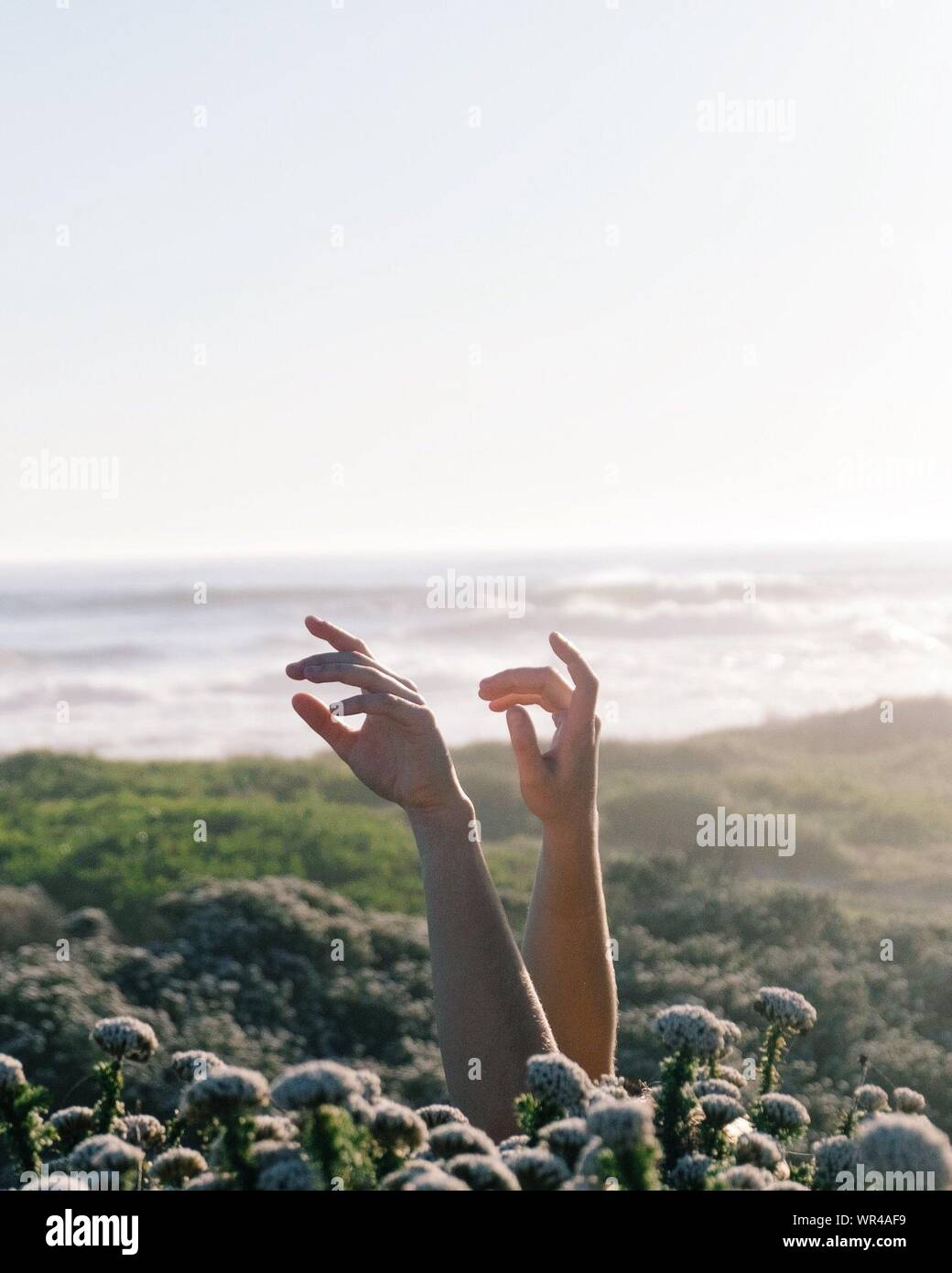 Person arms out hi-res stock photography and images - Alamy