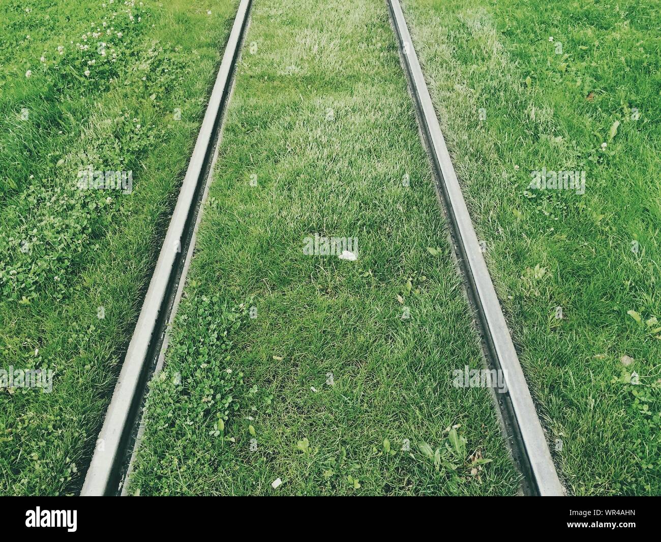 Railroad tracks on grassy hi-res stock photography and images - Alamy