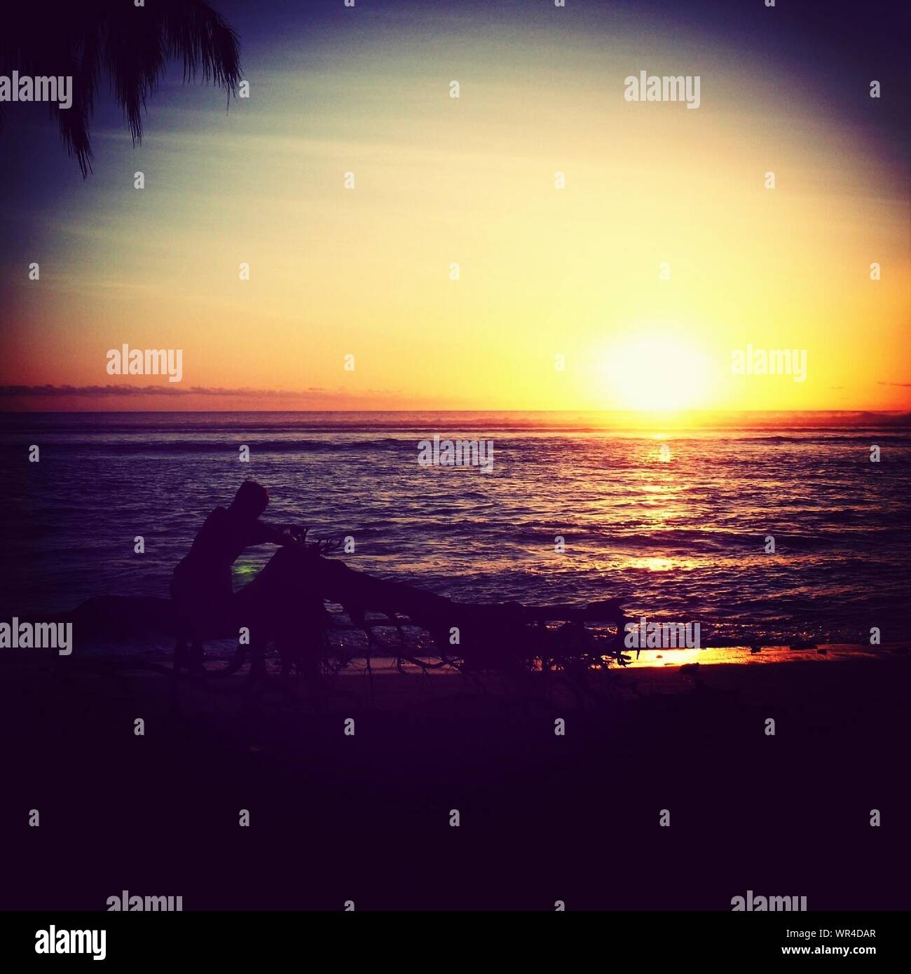 Person sitting on beach hi-res stock photography and images - Alamy