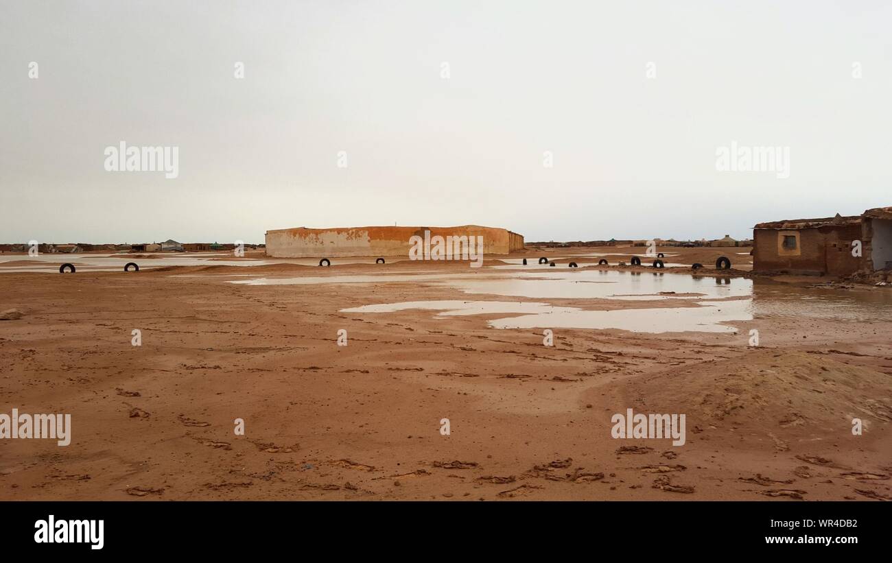 Clear puddle hi-res stock photography and images - Alamy