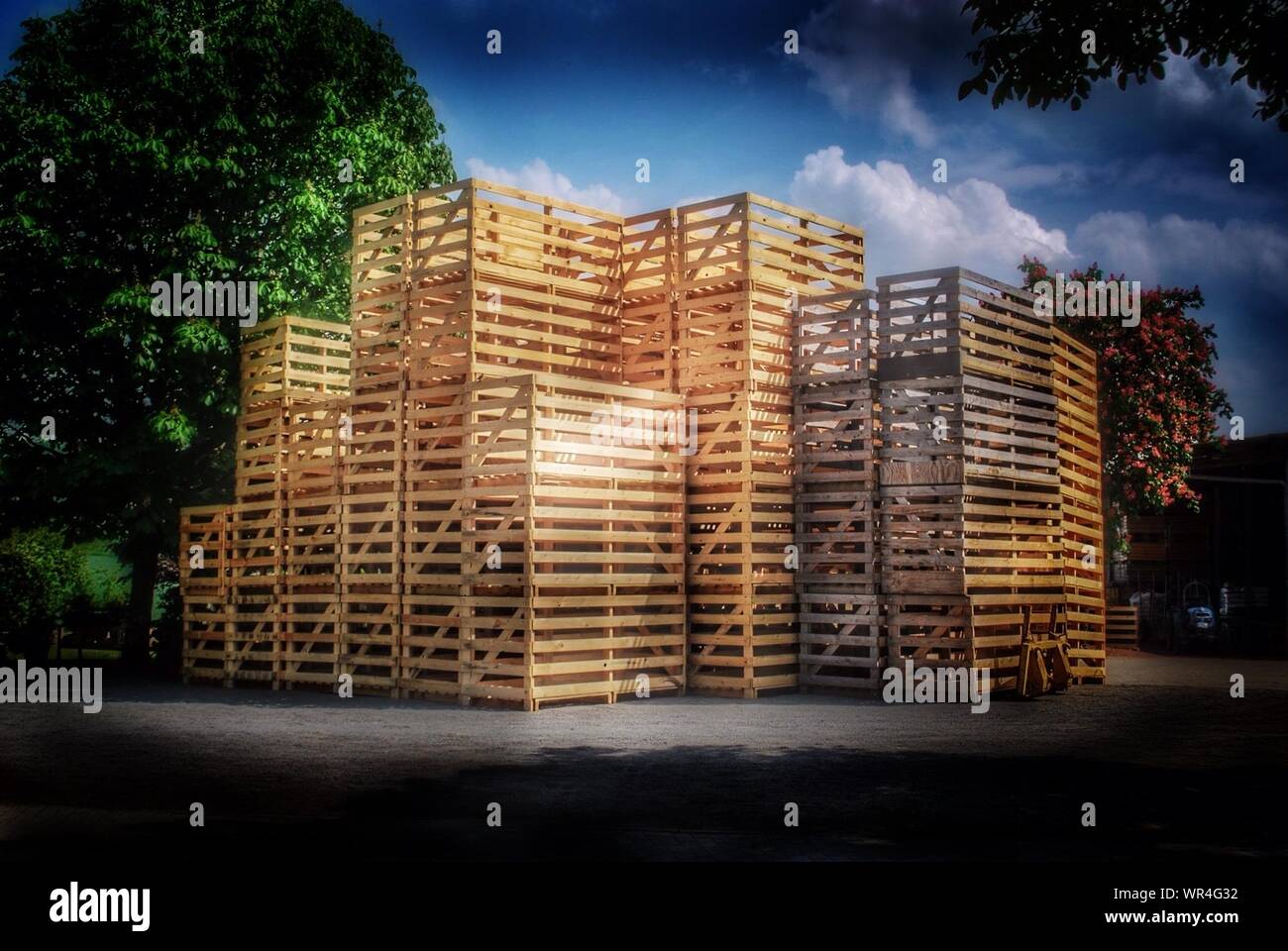 Trees for crates High Resolution Stock Photography and Images - Alamy