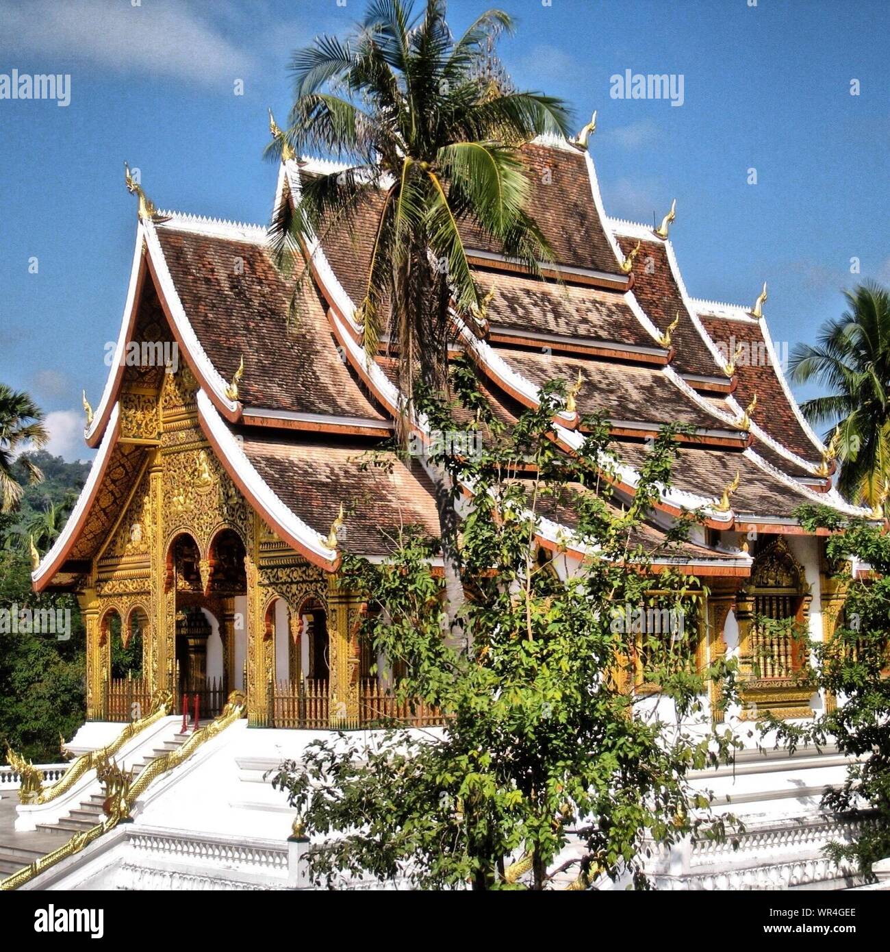 Palm and temple tree hi-res stock photography and images - Alamy